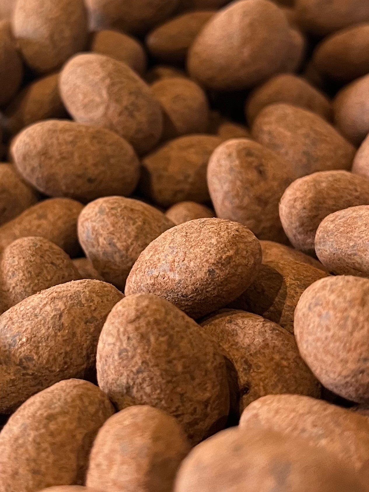 Snacks – Vesta Chocolate